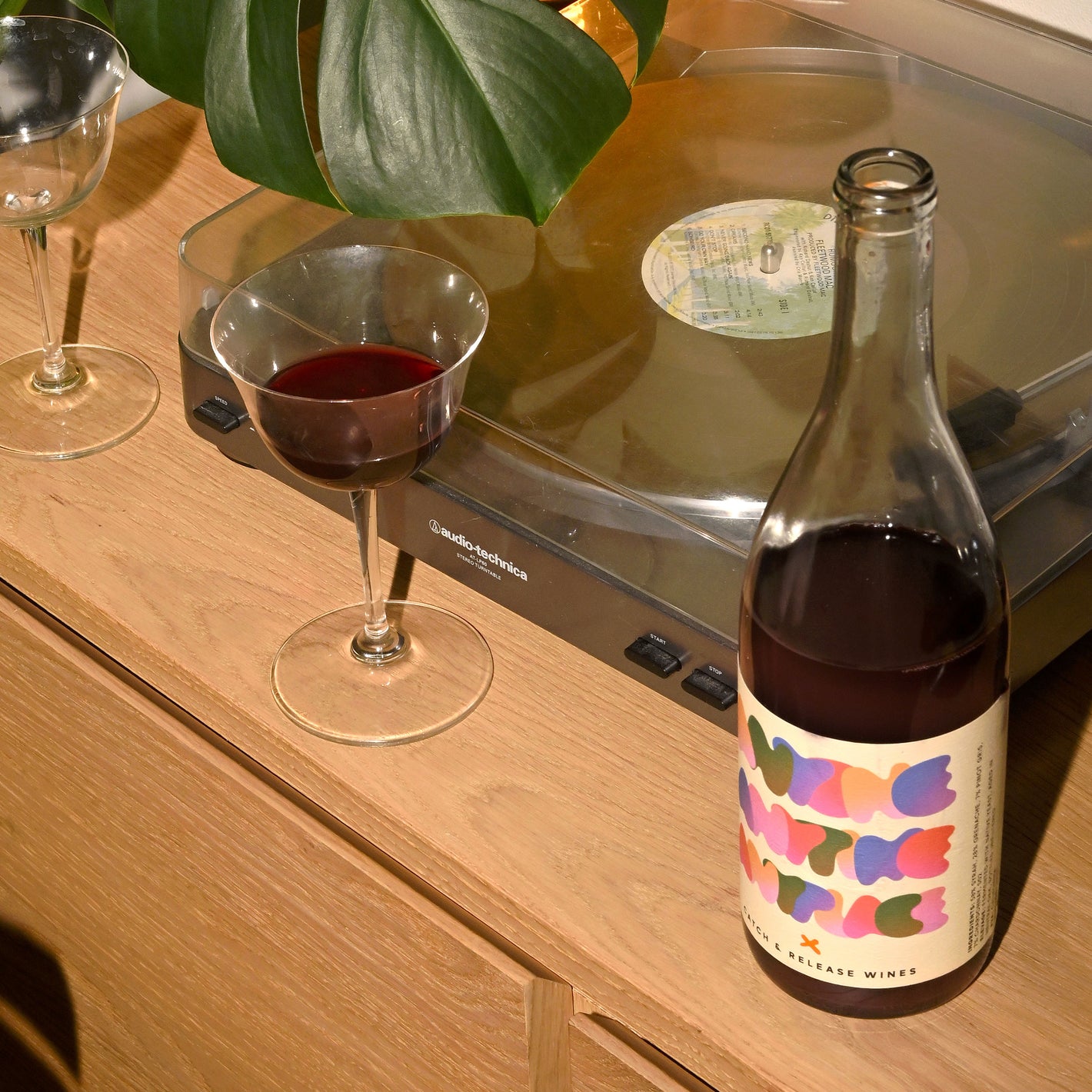 Catch & Release Wines – catch and release wines