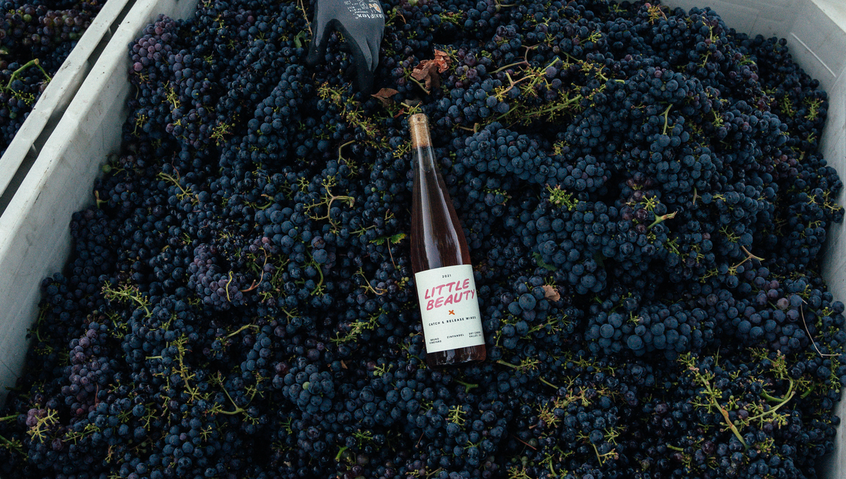 Shop Catch & Release Wines - Natural Wine Handmade in California